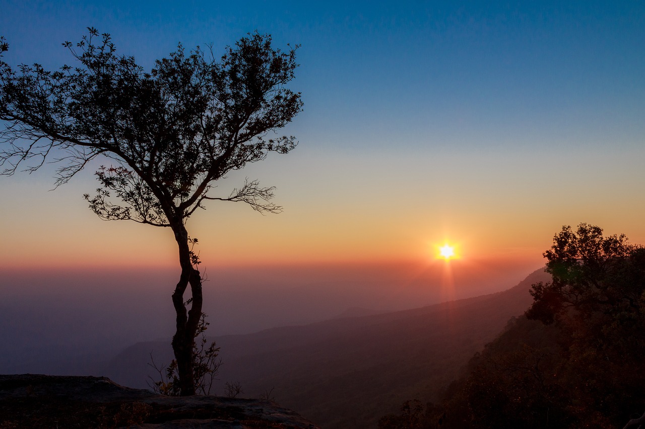 300,000+ Free Perfect Wallpaper & Perfect Images - Pixabay