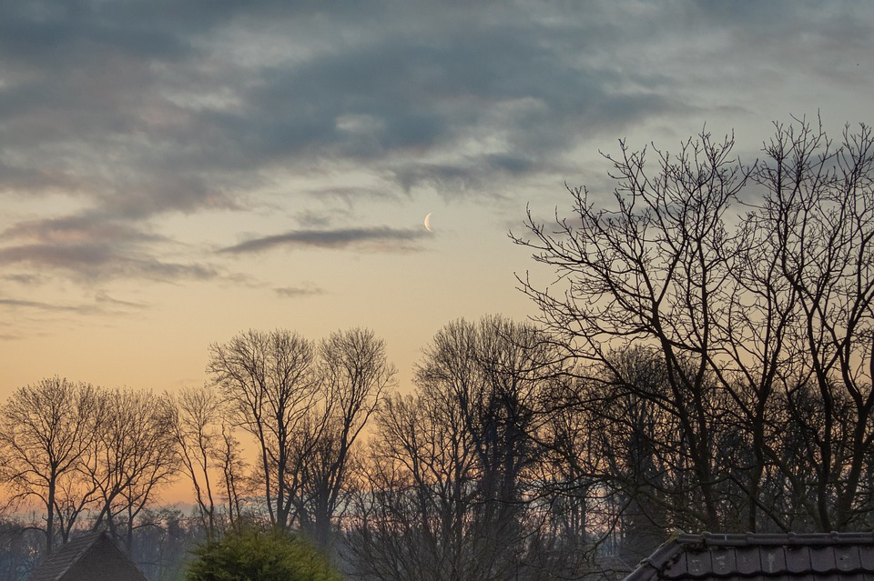 Morning Light Lighting Mood - Free photo on Pixabay - Pixabay