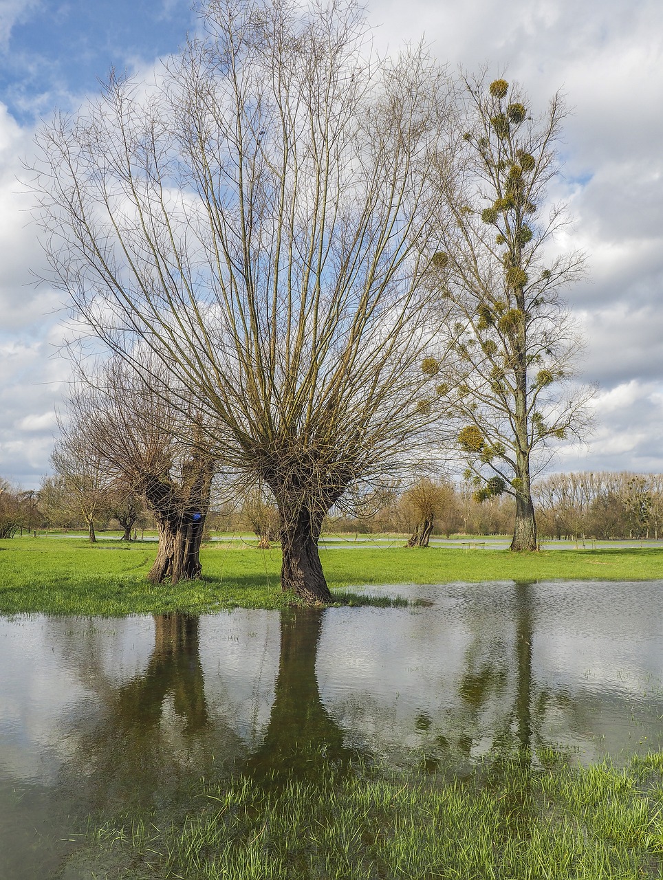 Landscape Flood Nature - Free photo on Pixabay - Pixabay