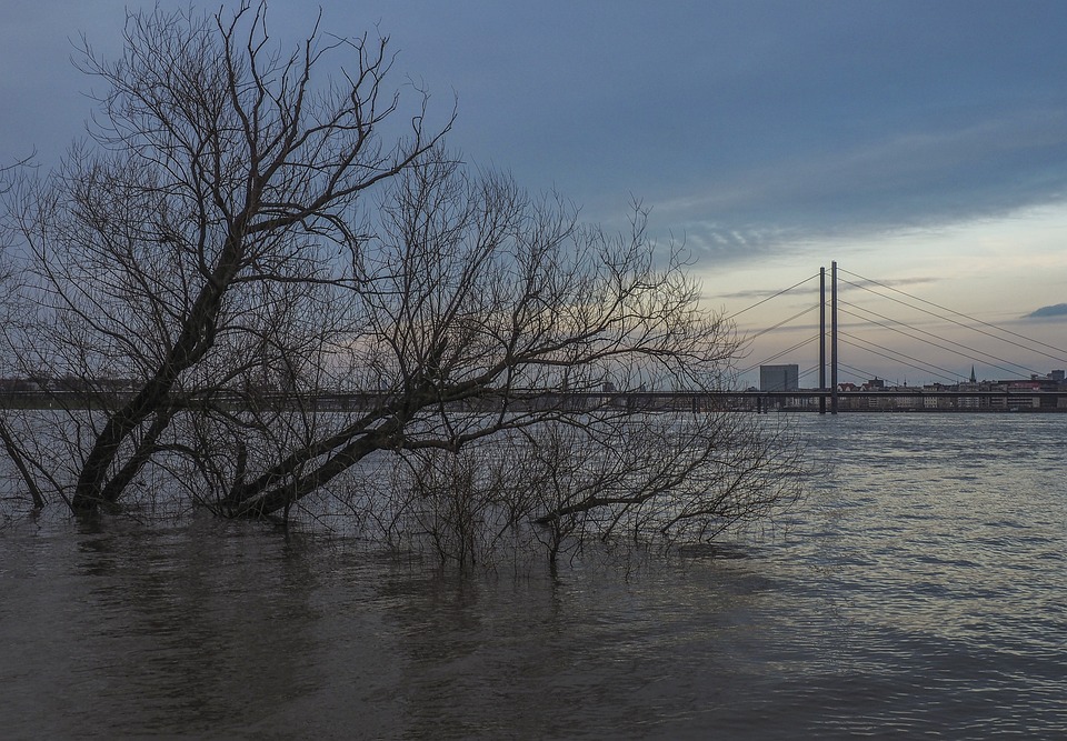 Landscape Flood Nature - Free photo on Pixabay - Pixabay