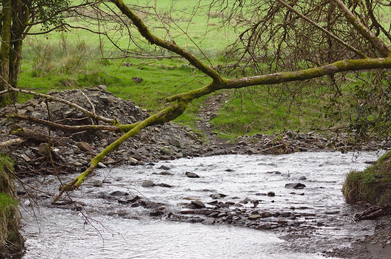 Stream Nature River - Free photo on Pixabay - Pixabay