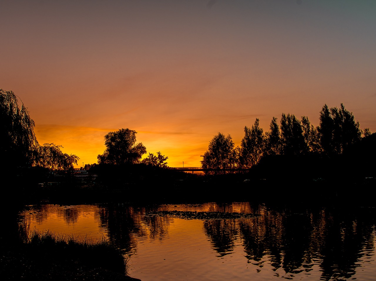 300,000+ Free Beautiful Pics & Pic Images - Pixabay