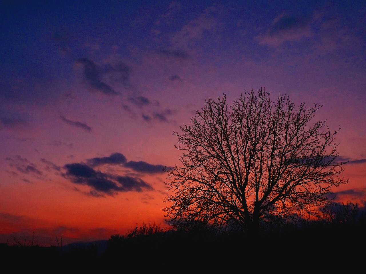Sunset Landscape Twilight - Free photo on Pixabay