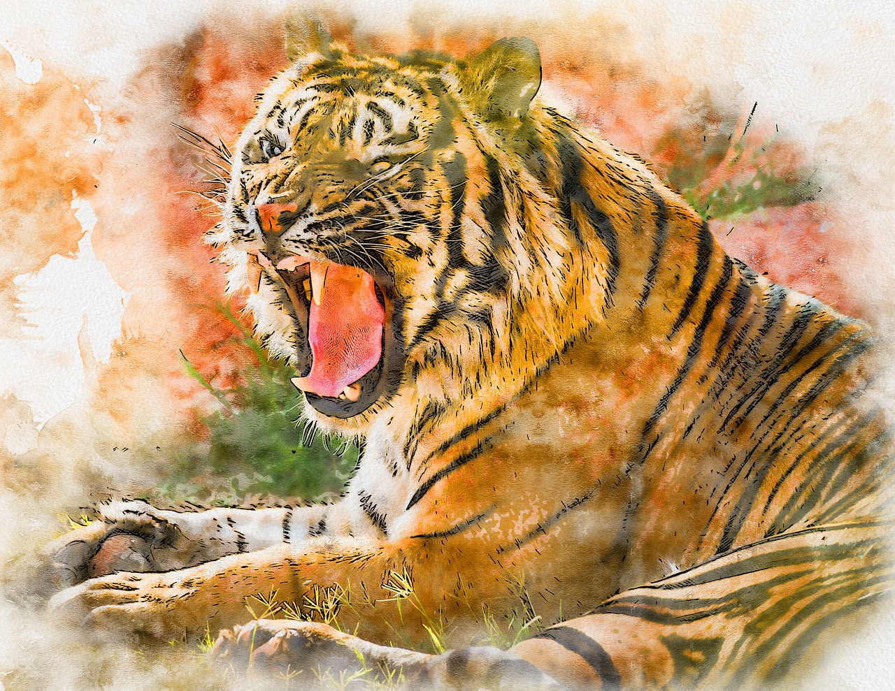 Explore 769+ Free 호랑이 Illustrations: Download Now - Pixabay