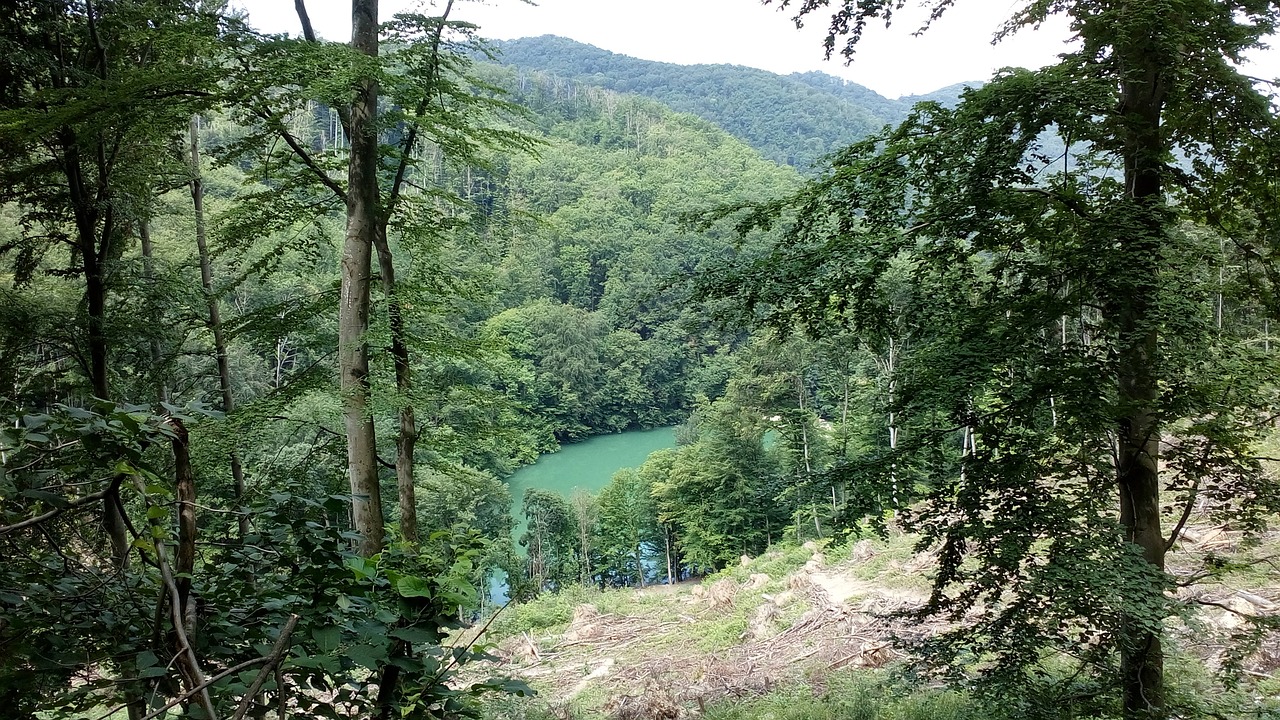 Szalajka Valle Naturaleza - Foto gratis en Pixabay - Pixabay