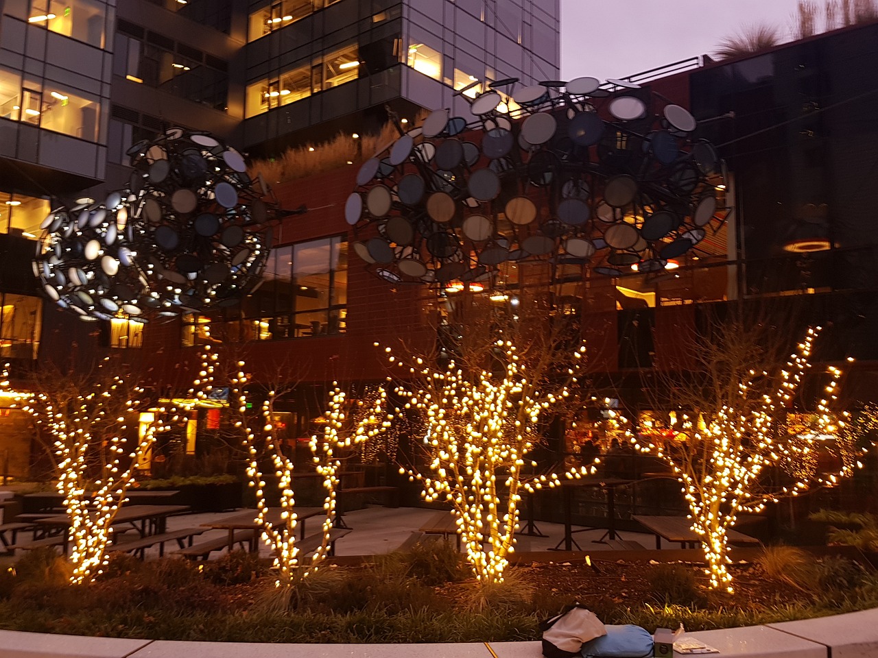 Night Seattle Trees - Free photo on Pixabay - Pixabay
