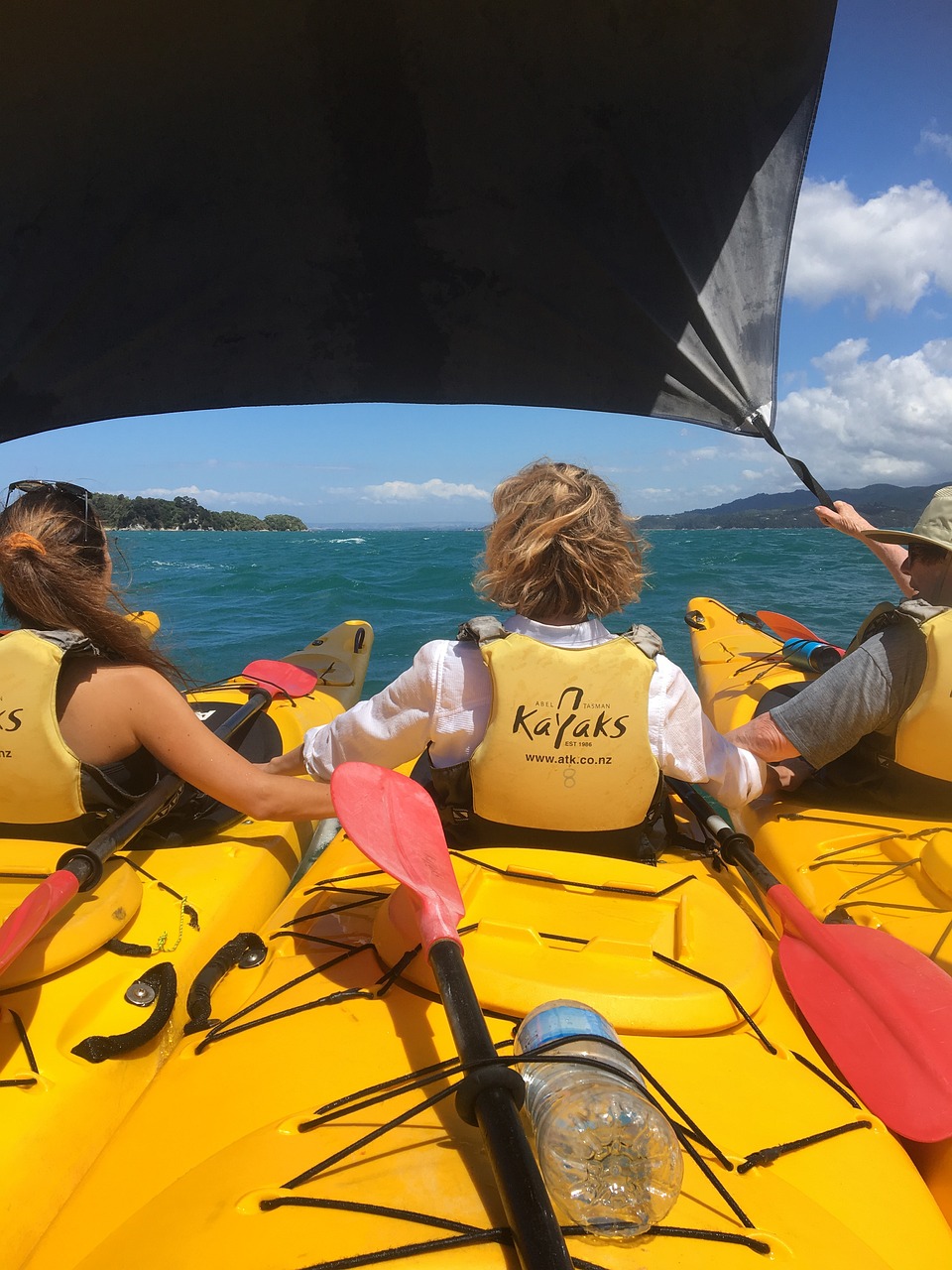 Kayak Sailing New Zealand - Free photo on Pixabay - Pixabay