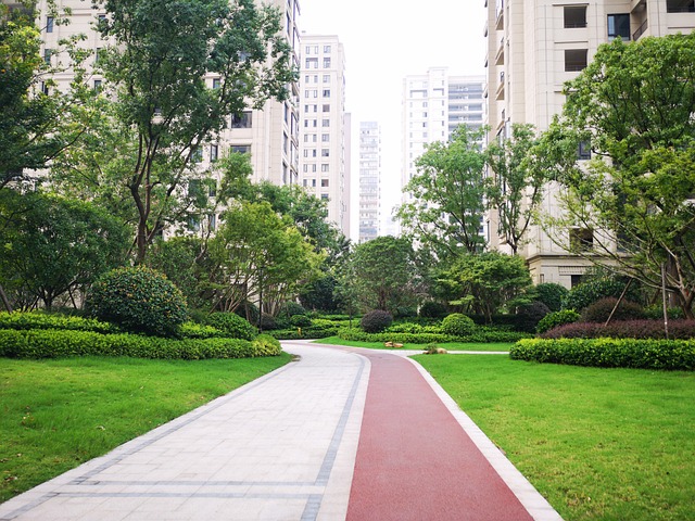 Road Community Tree - Free photo on Pixabay