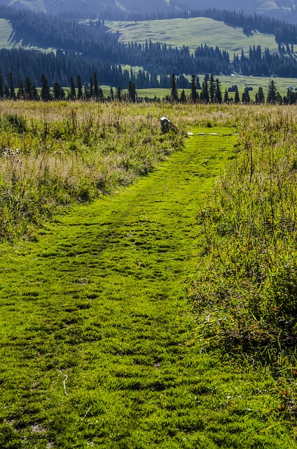 Prairie In The Air Grassland Sky - Free photo on Pixabay - Pixabay