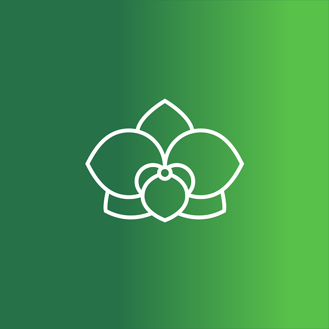 Orkide Blomma - Gratis vektorgrafik på Pixabay - Pixabay