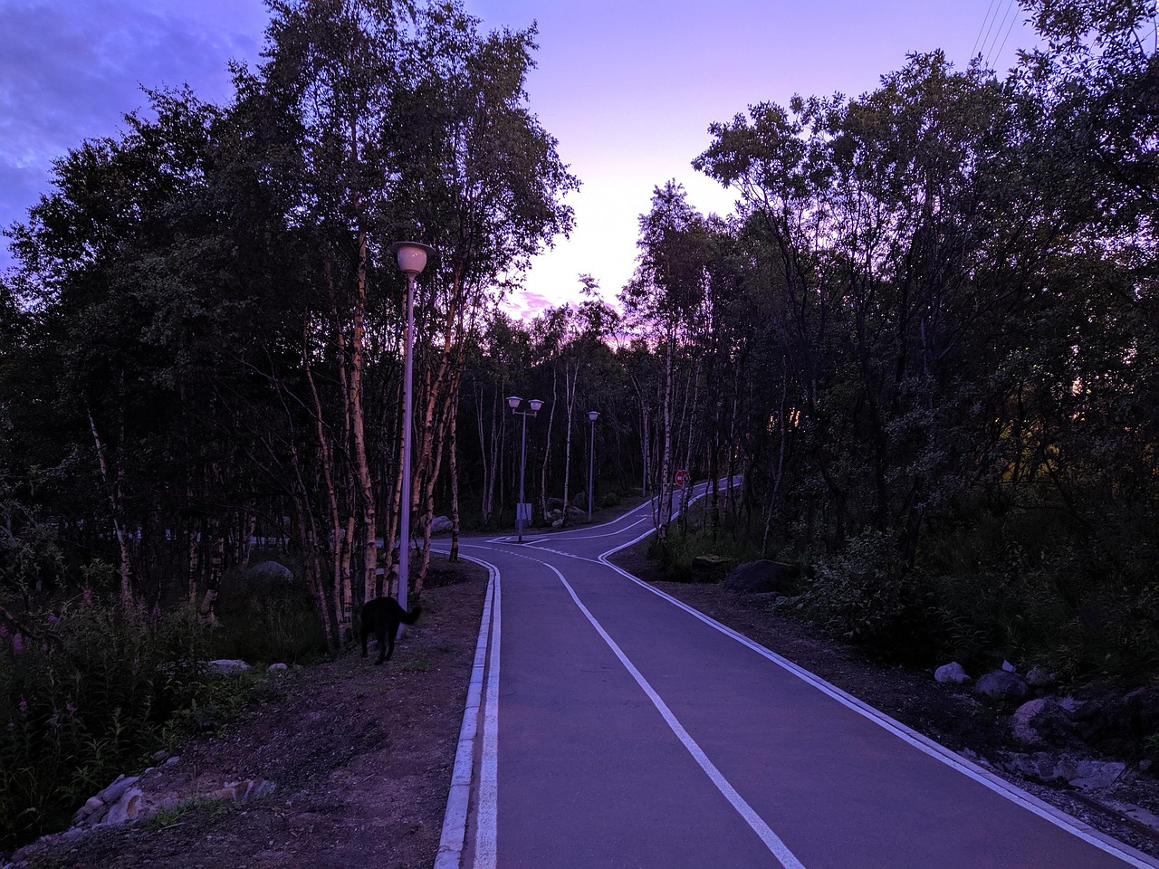 Parc Forêt Piste Cyclable - Photo gratuite sur Pixabay - Pixabay
