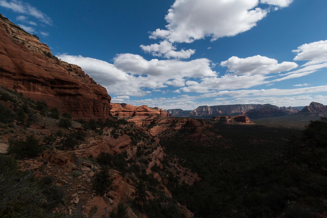 Tree Cliff Southwest - Free photo on Pixabay