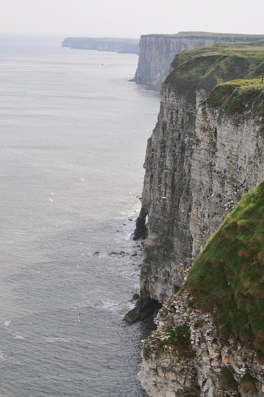 50,000+ Free East Yorkshire Coast & Nature Images - Pixabay