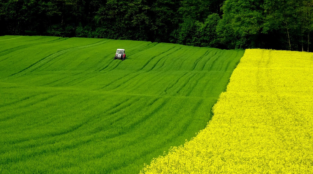Field Of Rapeseeds Tractor Spring - Free photo on Pixabay