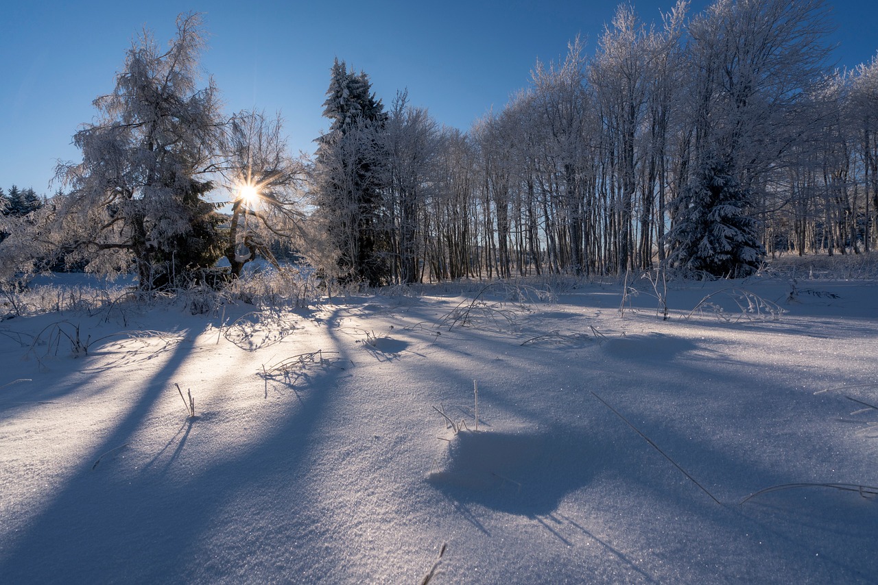 Snow Winter Cold - Free photo on Pixabay