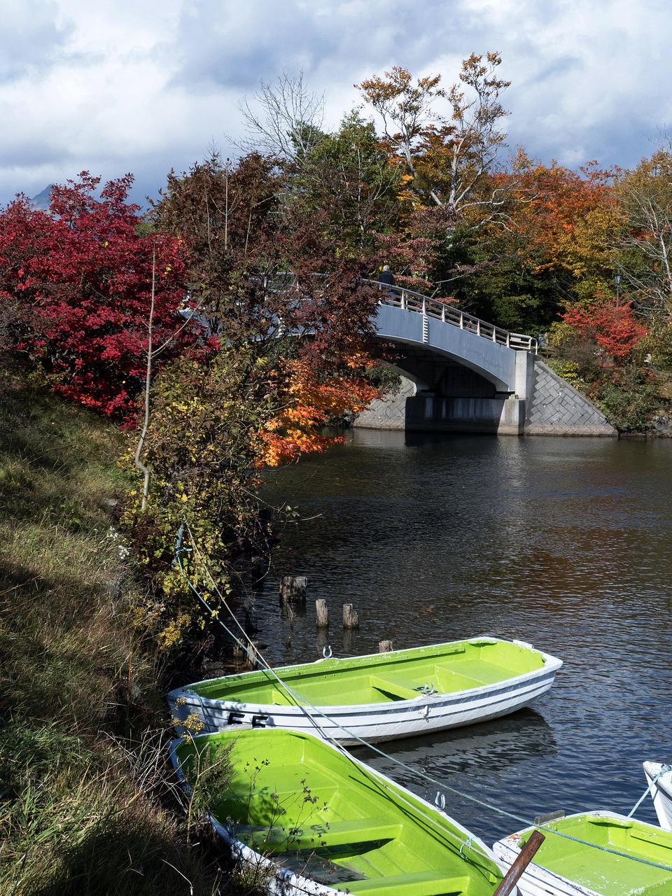 Japan Bridge Row Boat - Free photo on Pixabay