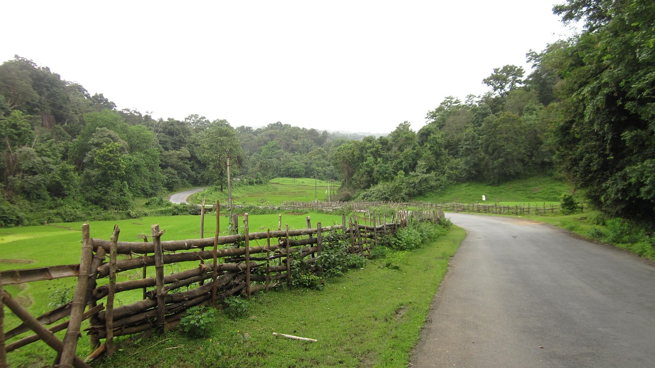 Dandeli Landscape Scenery - Free photo on Pixabay - Pixabay