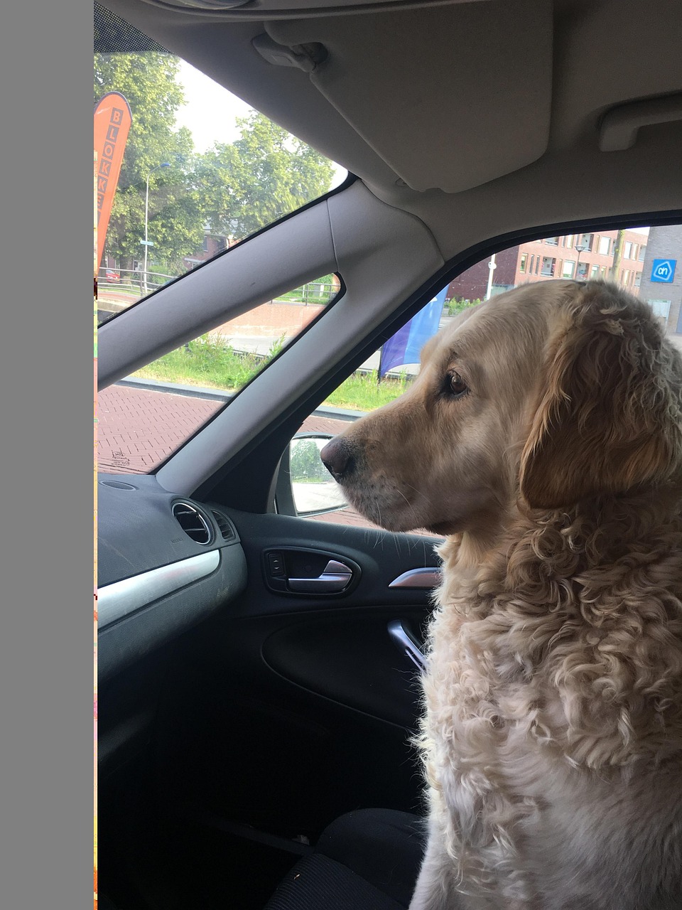 Golden Retriever Car - Free photo on Pixabay - Pixabay