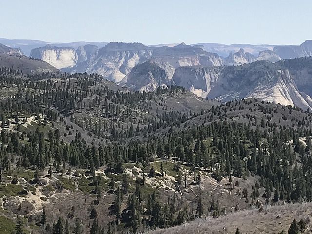 Zion Nationalpark Berg Utah - Gratis foto på Pixabay