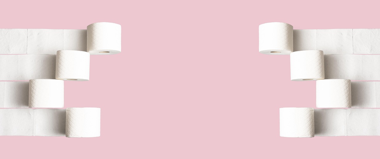 Toilet Paper Loo - Free photo on Pixabay - Pixabay