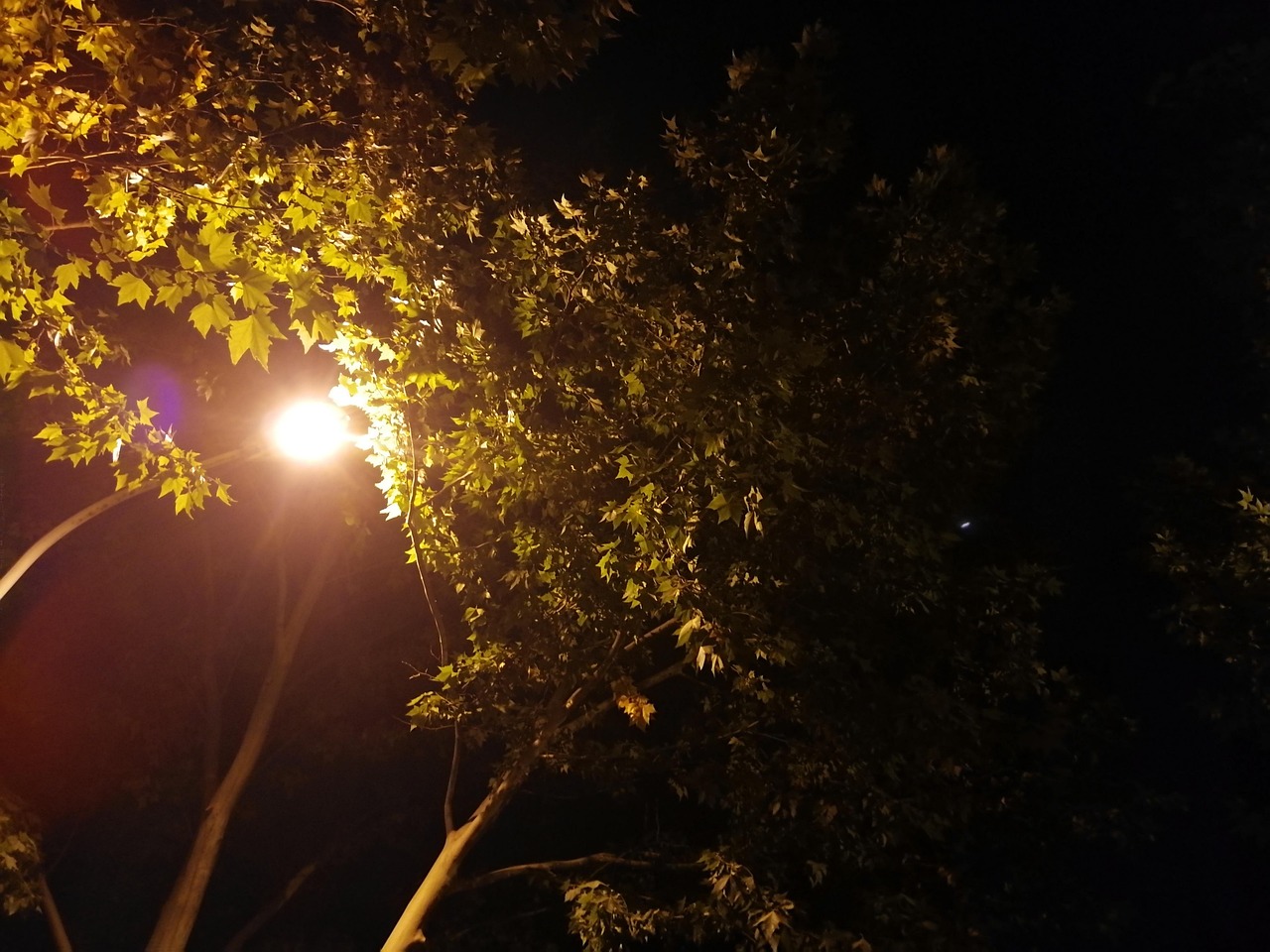 Licht Nacht - Kostenloses Foto auf Pixabay - Pixabay