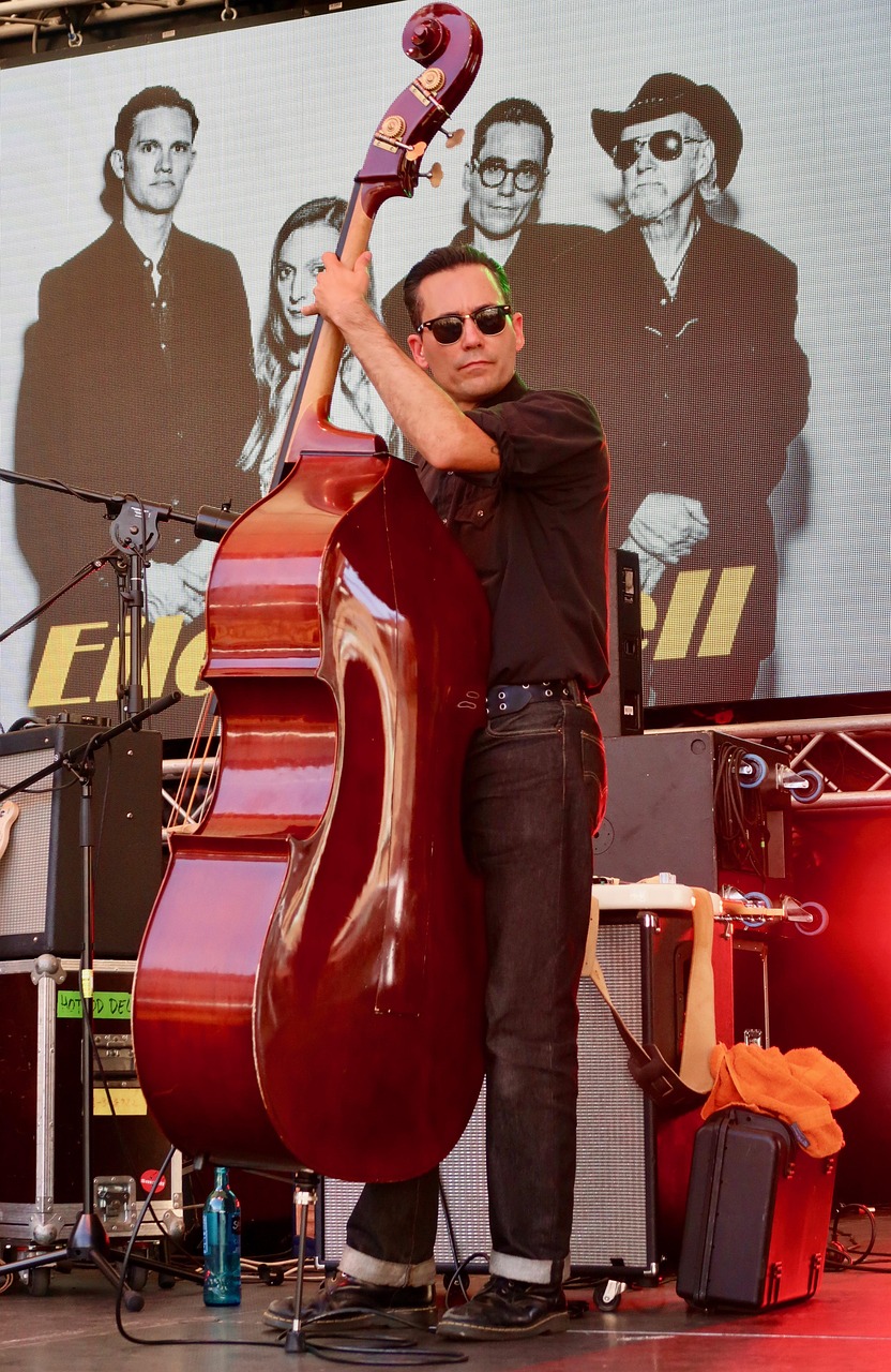 Bass Player Music Musical - Free photo on Pixabay