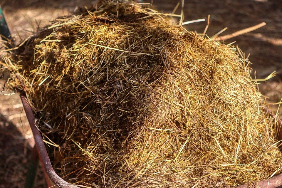 Hay Winter Feed Farm Yard - Free photo on Pixabay