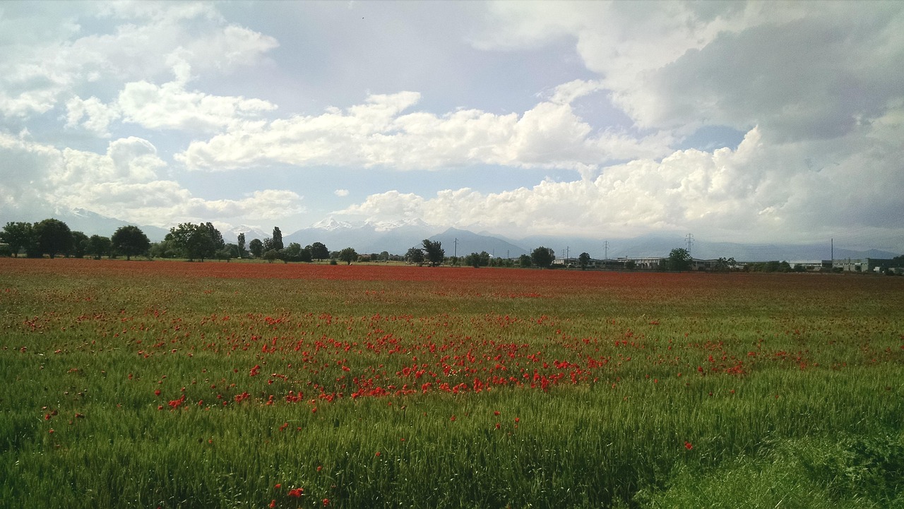 Turin Italie La Région Du Piémont - Photo gratuite sur Pixabay - Pixabay