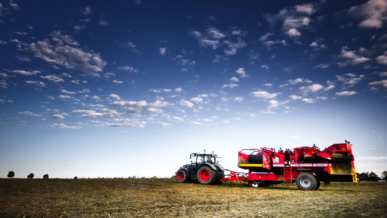 Harvest Fall Field - Free photo on Pixabay