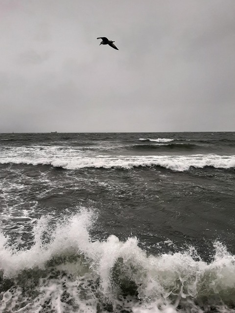 Mar As Ondas Vento - Foto gratuita no Pixabay - Pixabay