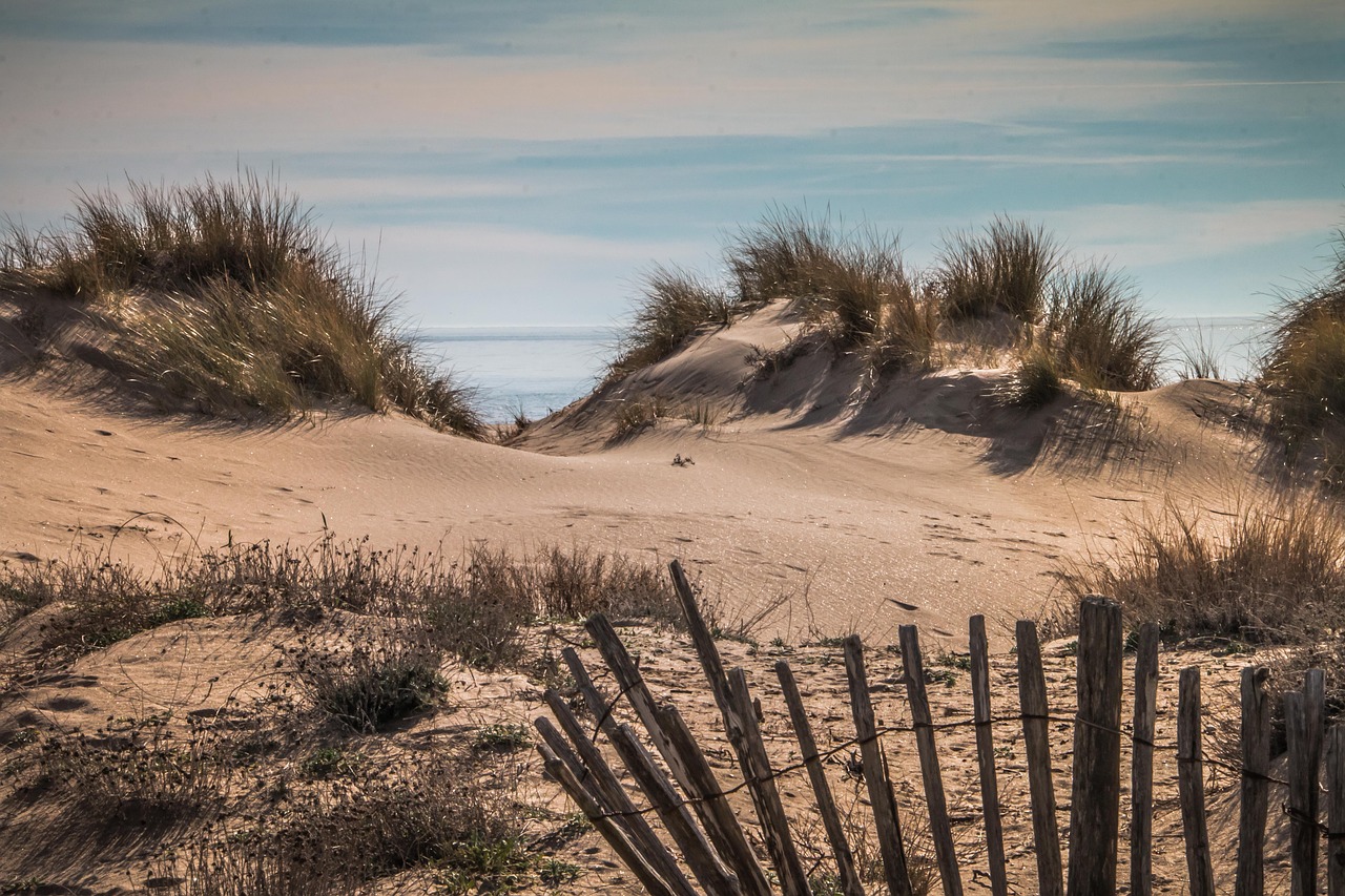 400+ Free Beach Dunes With Grasses & Beach Images - Pixabay