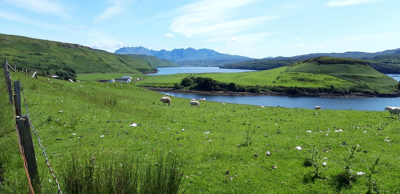 Scotland Talisker Skye - Free photo on Pixabay - Pixabay
