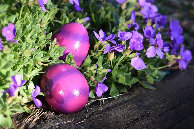 600+ kostenlose Ostermotiv und Ostern-Bilder - Pixabay