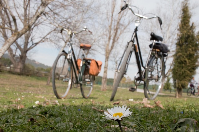 Bike Classic Walk - Free photo on Pixabay - Pixabay