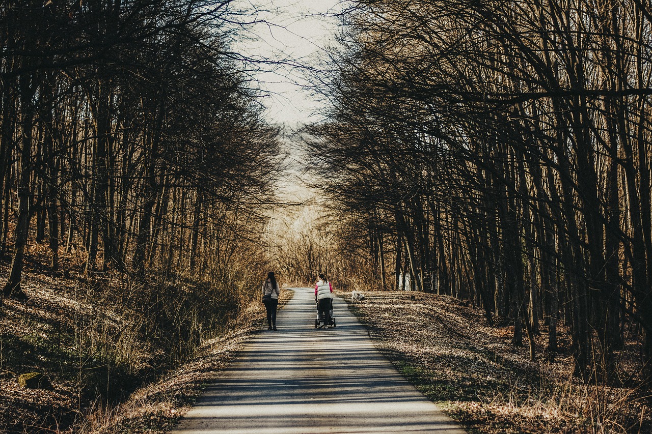 Wald Priroda Meine Mutter - Kostenloses Foto auf Pixabay - Pixabay