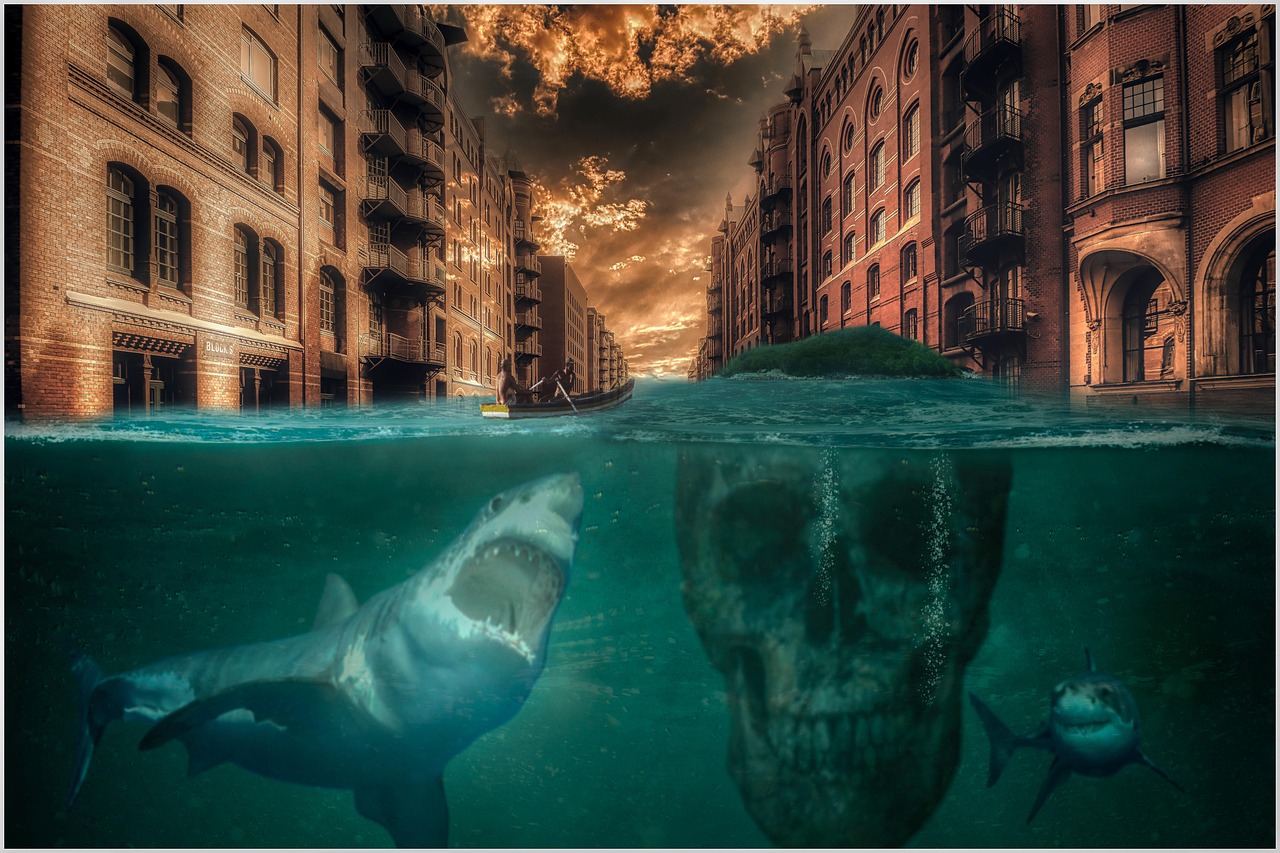 Shark Water Skull And Crossbones - Free photo on Pixabay