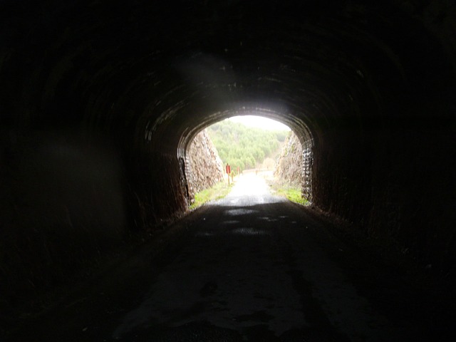 Via Verde Olhos - Foto gratuita no Pixabay - Pixabay