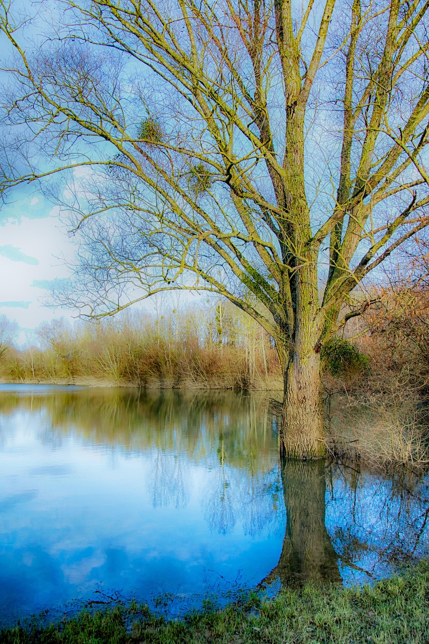 Plus de 300 000 images de Paysage Feerique et de Paysage - Pixabay