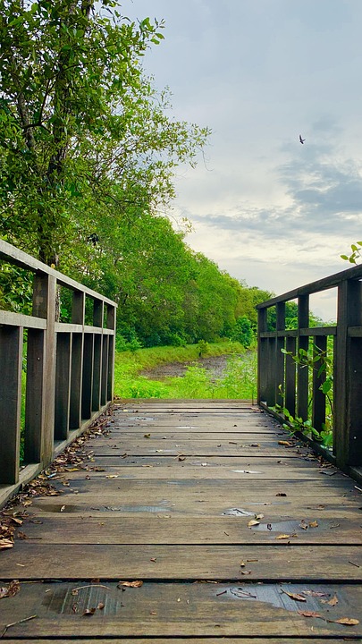 Lake Nature - Free photo on Pixabay