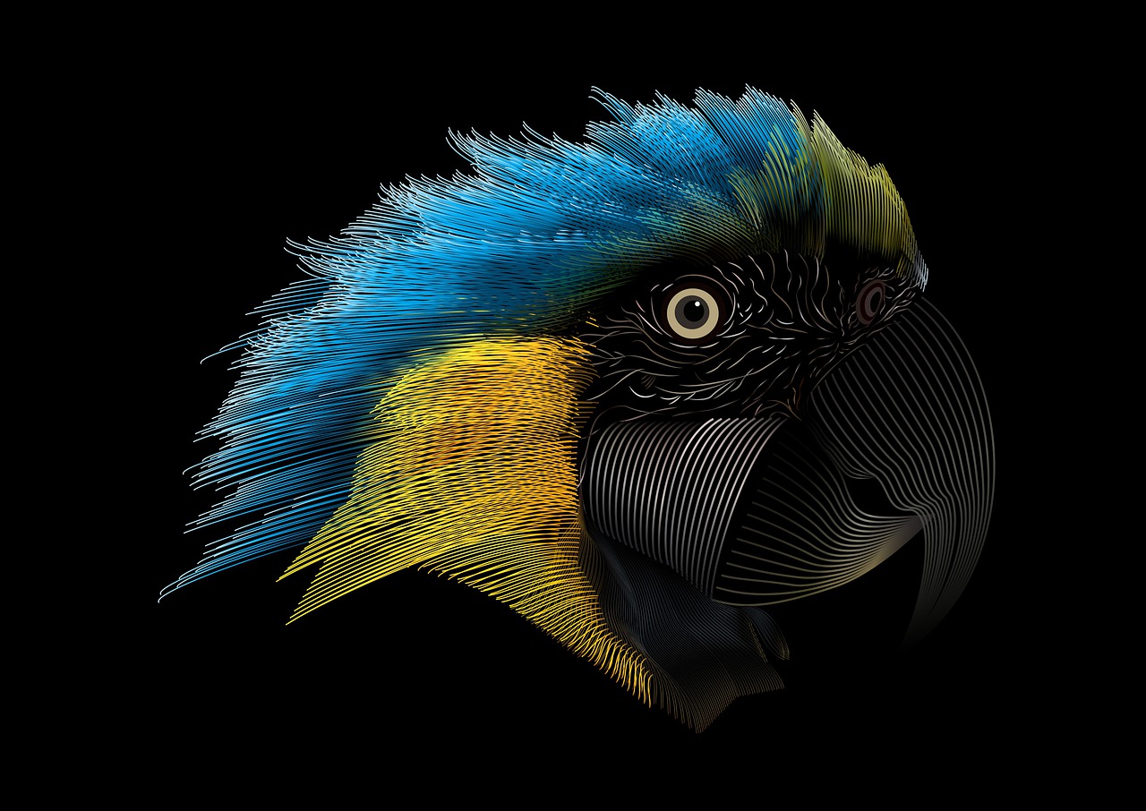 Download Parrot Head Blend Royalty-Free Stock Illustration Image - Pixabay