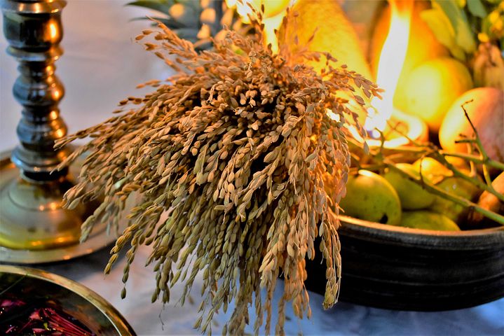20+ Free Vishu & Kerala Images - Pixabay