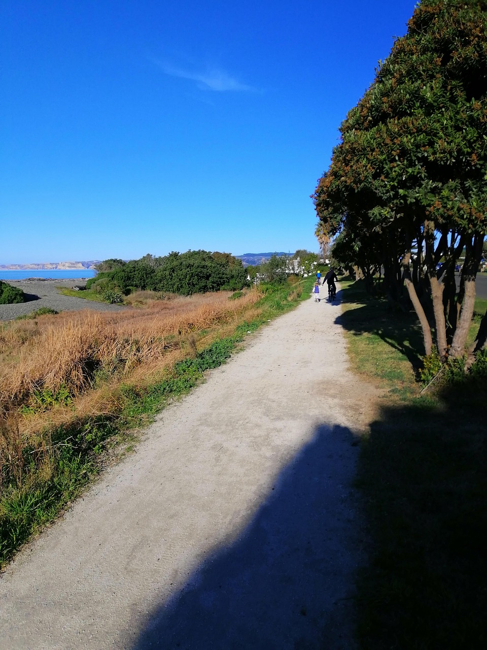 Blue Sky Walking Track New Zealand - Free photo on Pixabay - Pixabay