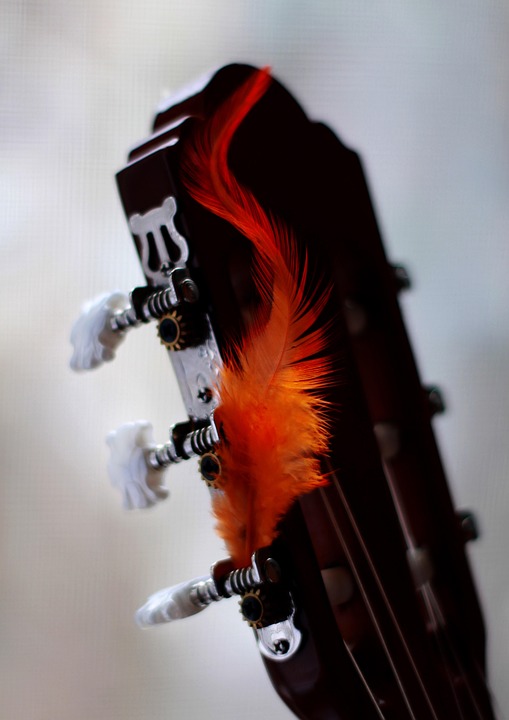 Vulture Feather Orange - Free photo on Pixabay - Pixabay