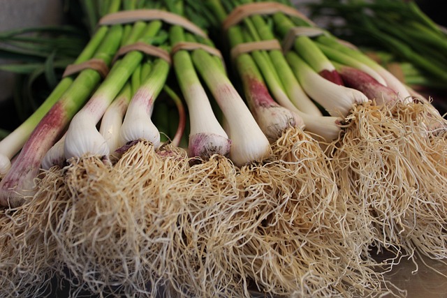 100,000+ Free Spring Onion & Onion Photos - Pixabay