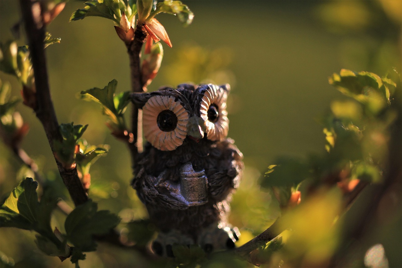 Hibou Figure Le Printemps - Photo gratuite sur Pixabay - Pixabay
