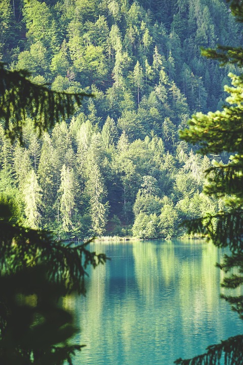 La Nature Lac Paysage - Photo gratuite sur Pixabay - Pixabay
