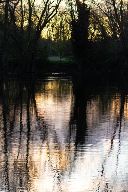 Mist Sunrise Riverbank River - Free photo on Pixabay - Pixabay