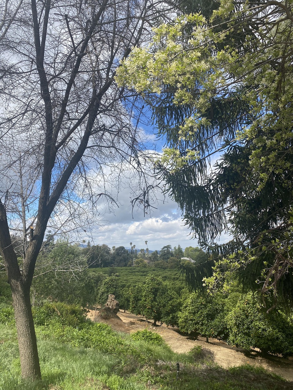 Prospect Park Redlands Nature - Free photo on Pixabay - Pixabay