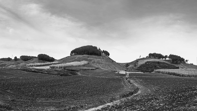 Collines Les Arbres Montagnes - Photo gratuite sur Pixabay - Pixabay