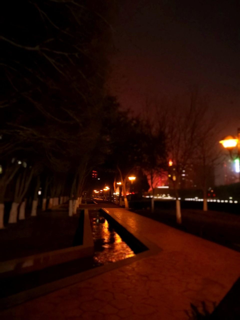 Licht Nacht - Kostenloses Foto auf Pixabay - Pixabay